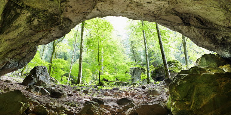 How to Find or Build Basic Shelter | TacticalGear.com