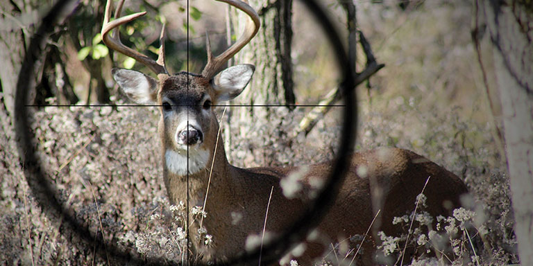 How to Shoot a Moving Target | TacticalGear.com