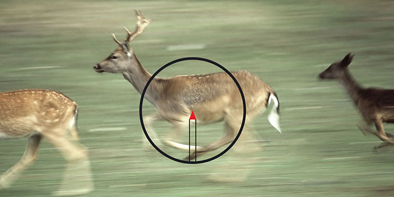 How to Shoot a Moving Target | TacticalGear.com