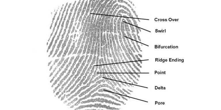 Officer’s Guide to Fingerprints | TacticalGear.com